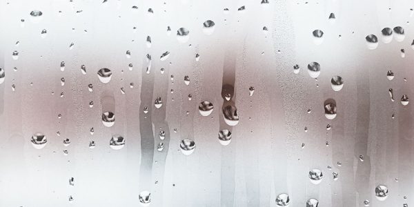 5 Ways to Lower Humidity in Your Home | Air Quality | Woodbury, MN